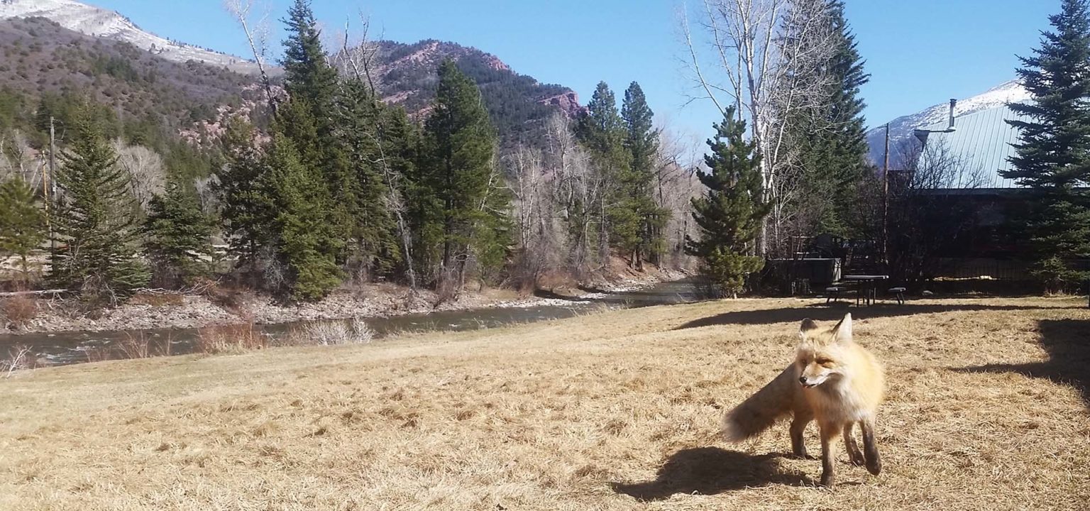 Our Area and Accommodations - Crystal Fly Shop