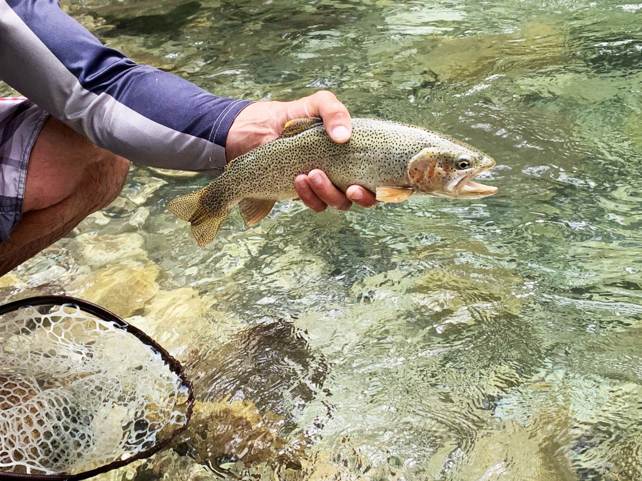 Private Water Trips - Crystal Fly Shop