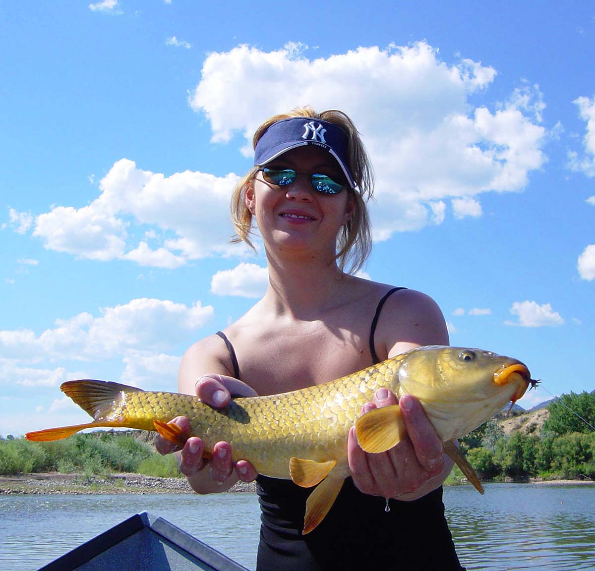 Colorado River Report - Crystal Fly Shop