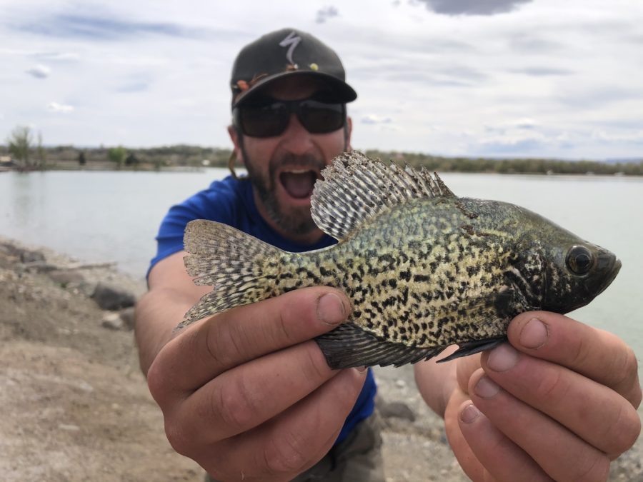 Meet the Team - Crystal Fly Shop