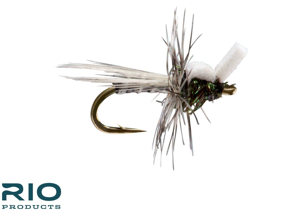 Crystal River Fishing Report - Crystal Fly Shop