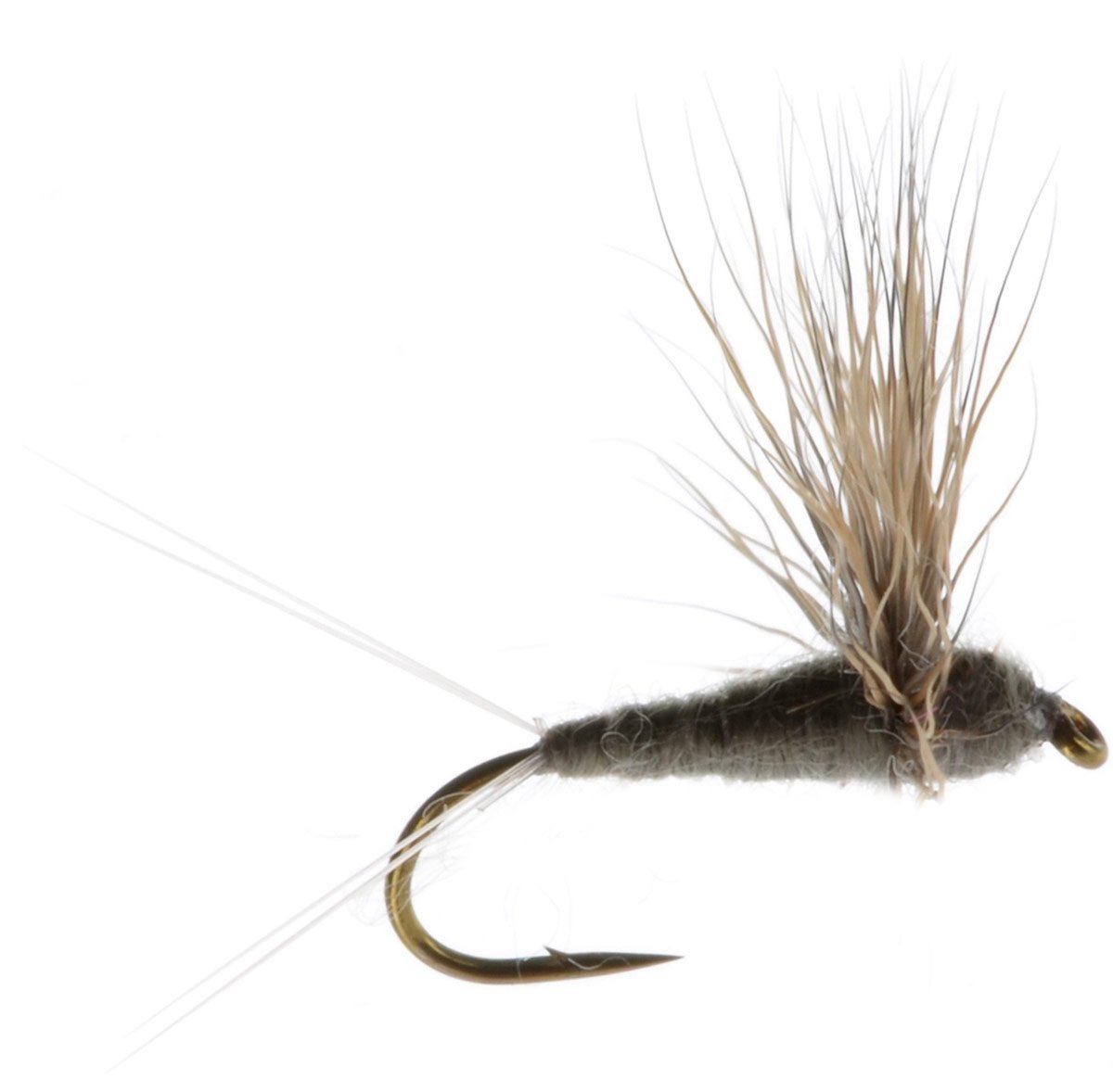 Frying Pan River Fishing Report - Crystal Fly Shop